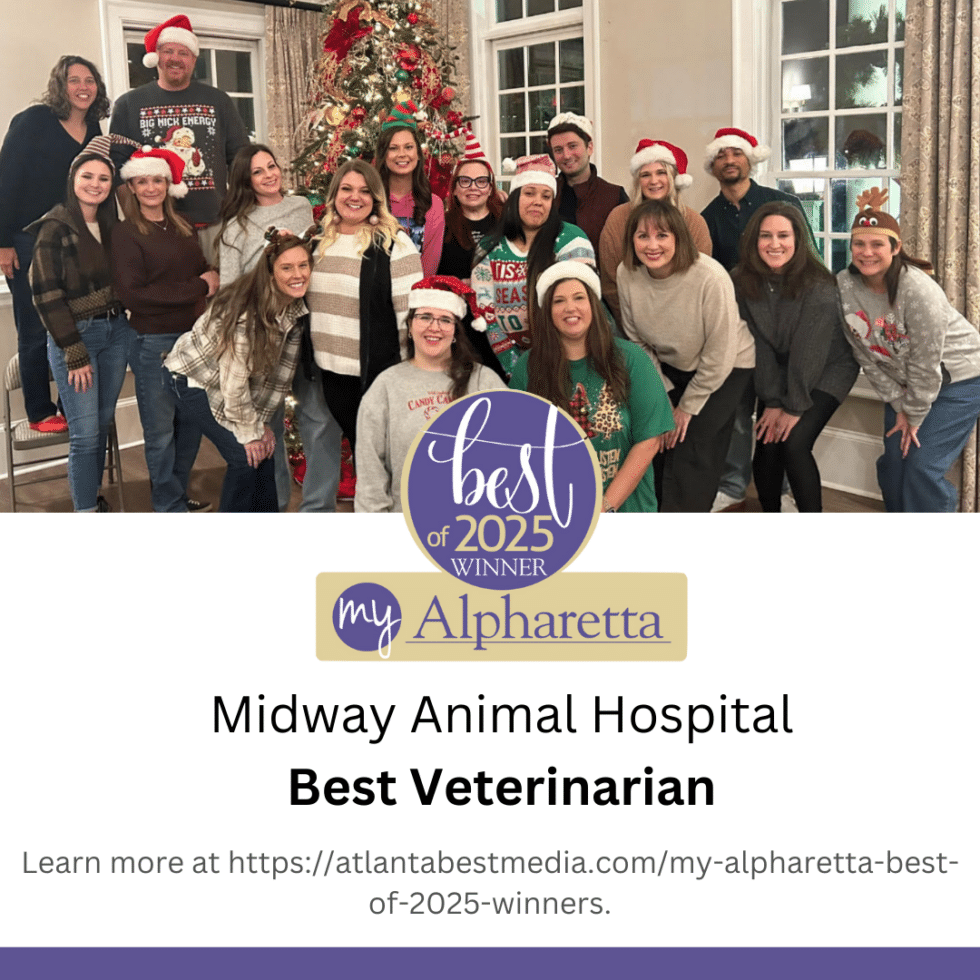 Best Vet Hospital In Alpharetta, GA | Midway Animal Hospital